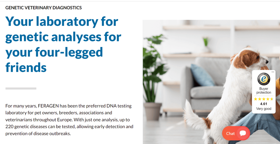 FERAGEN: Where are they now? | UNLEASHED