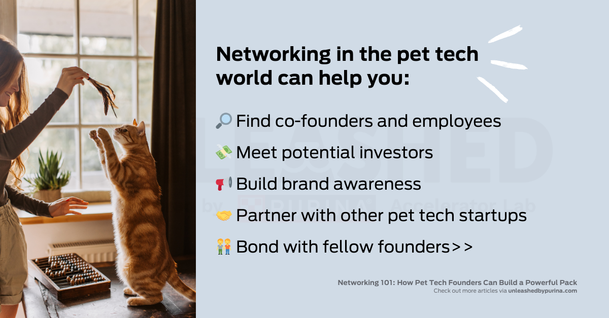 Networking 101: How Pet Tech Founders Can Build a Powerful Pack | UNLEASHED
